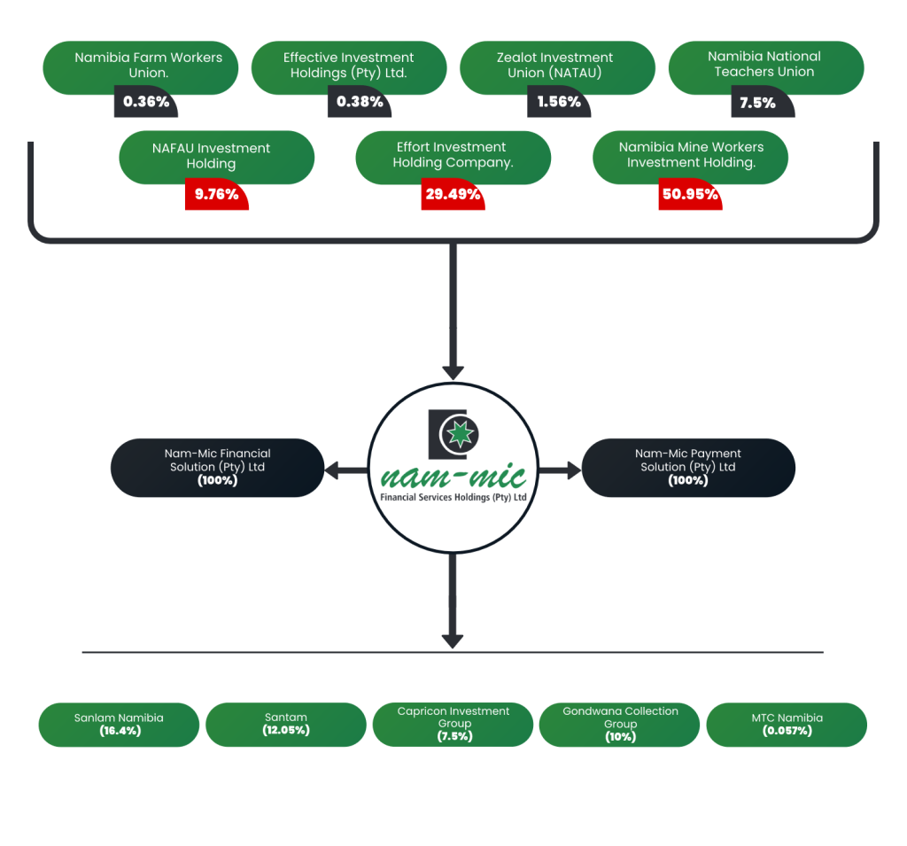 Nammic Financial Services Holdings